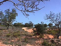 Espiche and Almadena, Praia da Luz, Lagos, West Algarve, Portugal